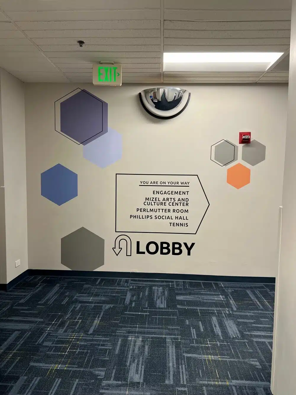 Custom Wall Graphics for Businesses in Denver | MthHighSigns
