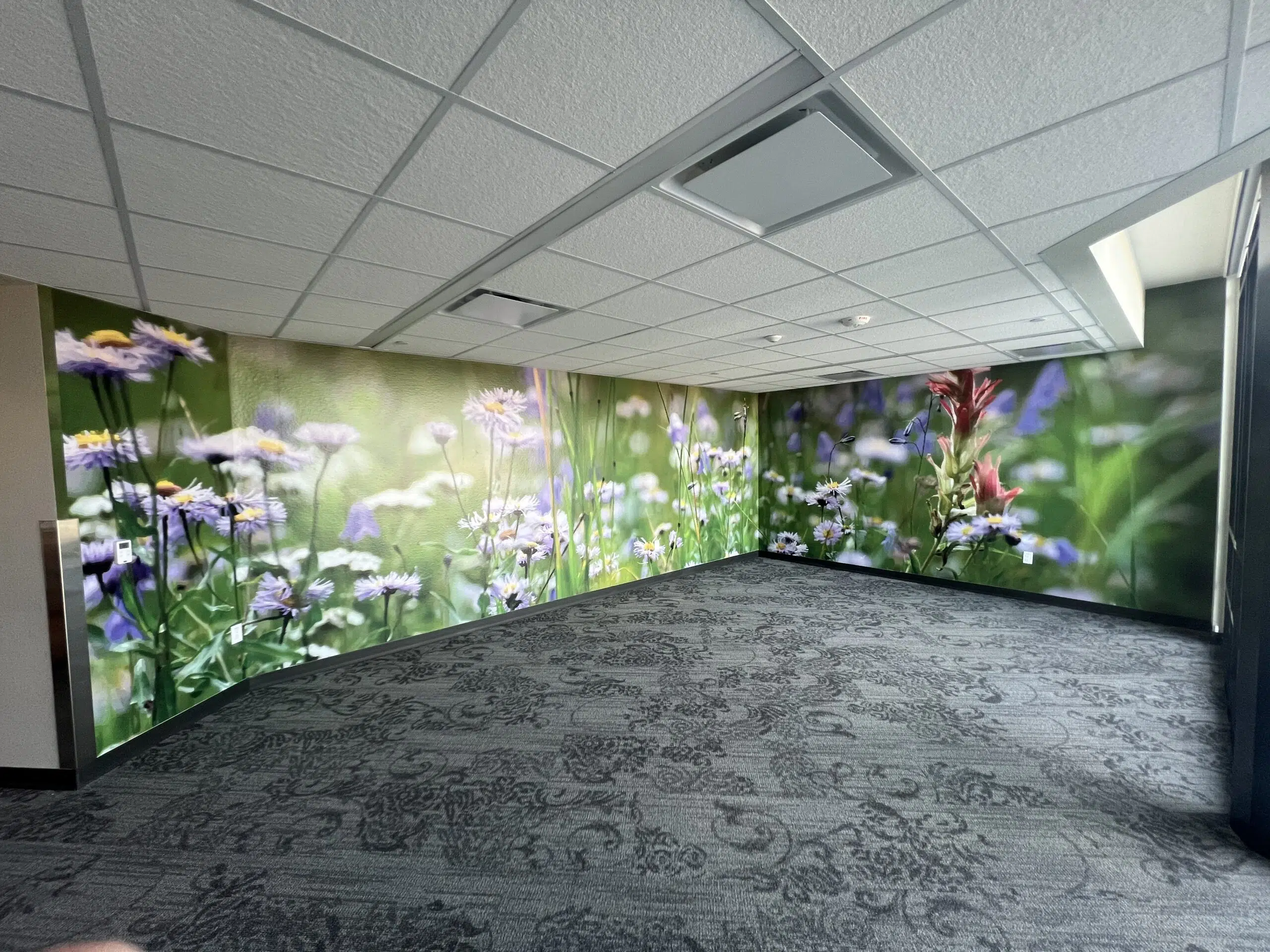 Custom Vinyl Signs in Denver, CO | Design & Install